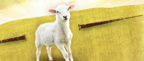 The Humble Shepherd – The Need to Have Humility in the Ministry ...