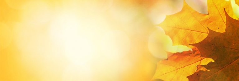 Top 24 Fall Harvest PowerPoint Sermon Templates - Sharefaith Magazine