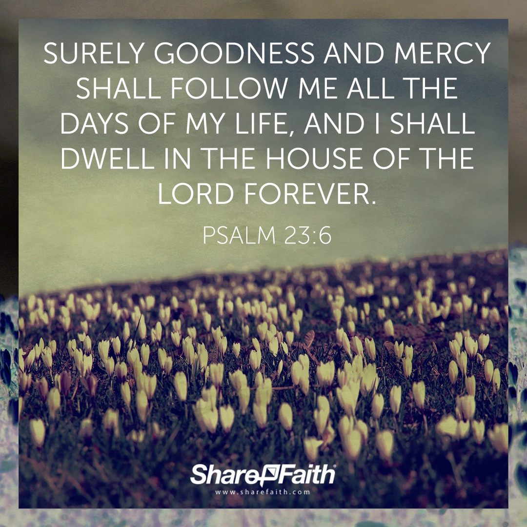 Top 50 Bible Verses for Mother's Day + Bonus - Sharefaith Magazine